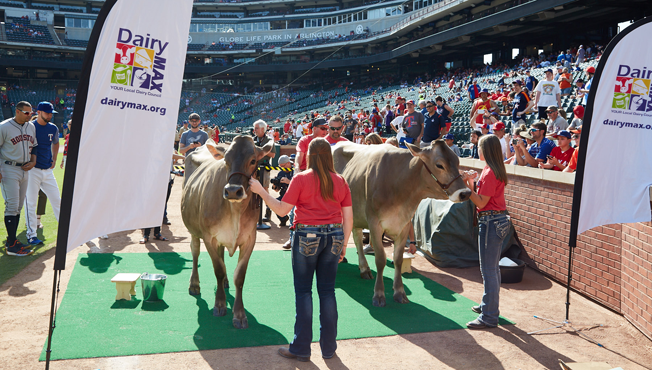 Raise Your Glass Of Milk National Dairy Month Is Here Dairy Max
